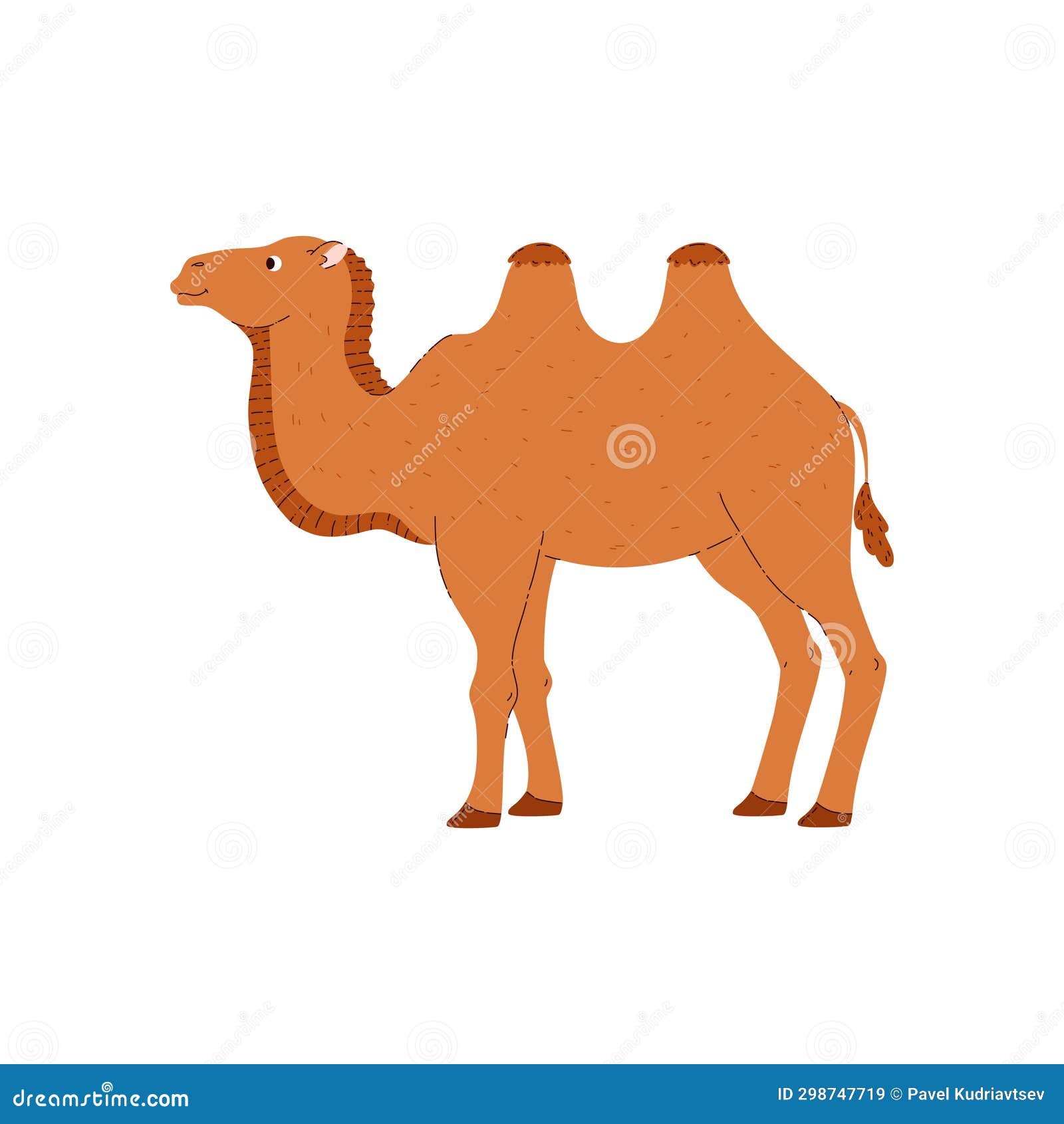 Standing Single Bactrian Camel. Stock Vector - Illustration of hump ...