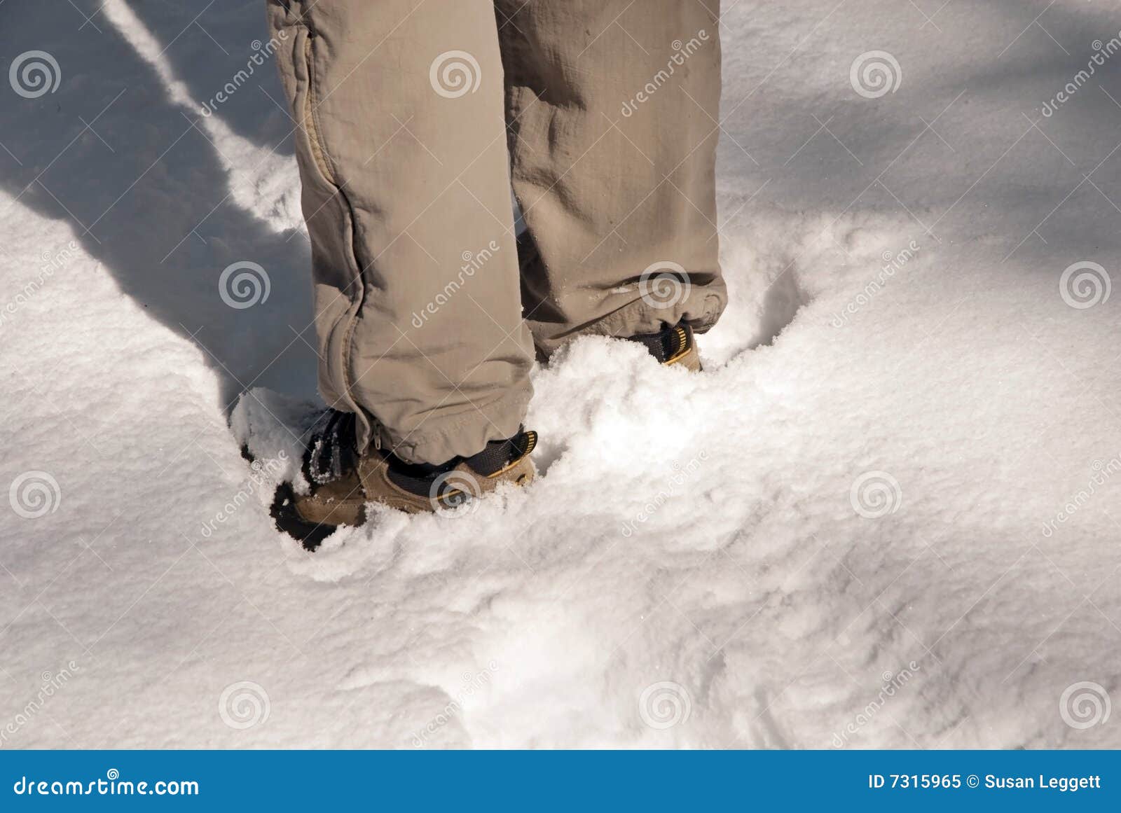 Standing in the Snow stock image. Image of active, deep - 7315965
