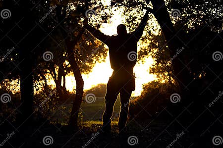 A Standing Soldier in the Middle of the Trees Stock Photo - Image of ...