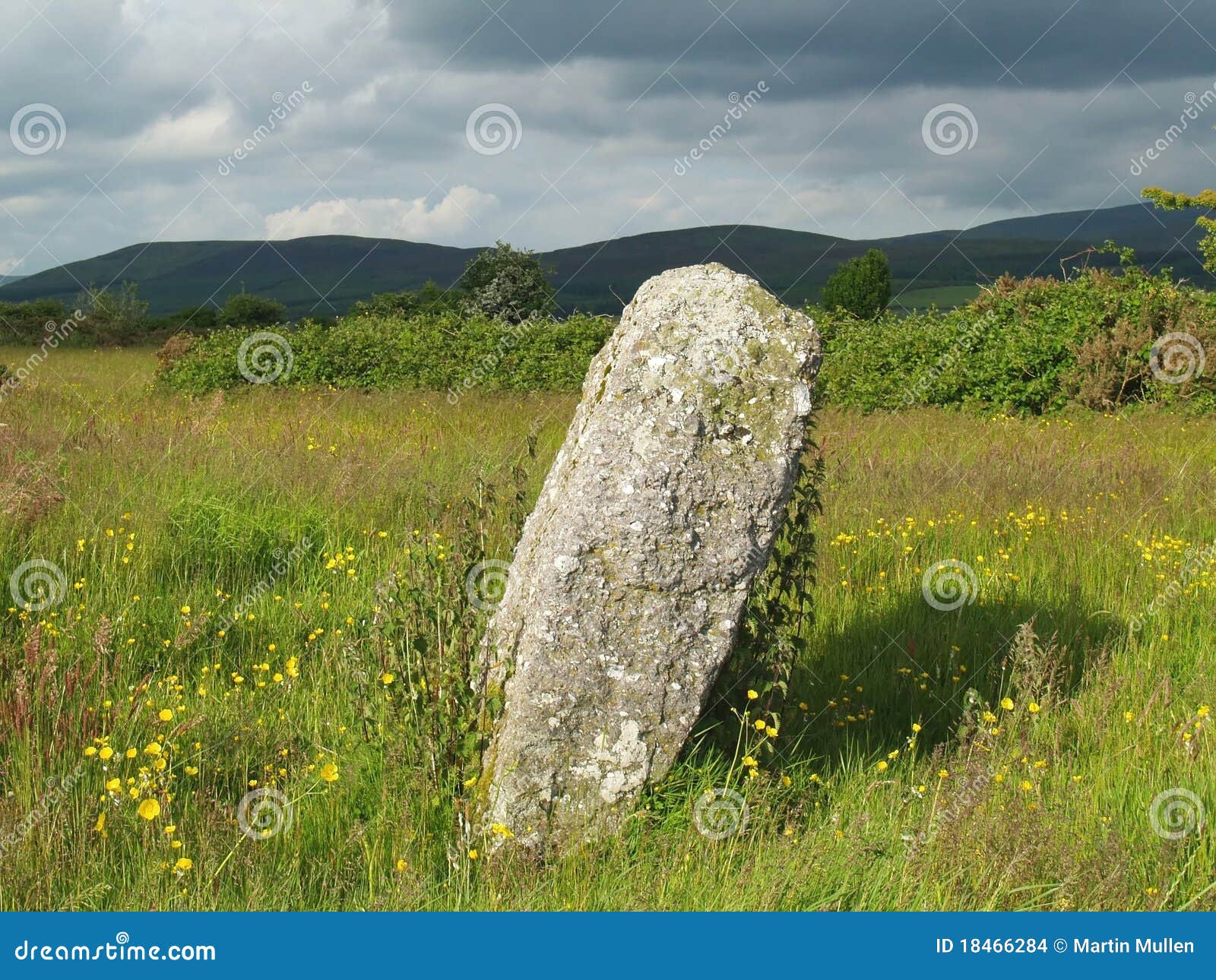Standing Stone stock photo. Image of slanted, memorial - 18466284