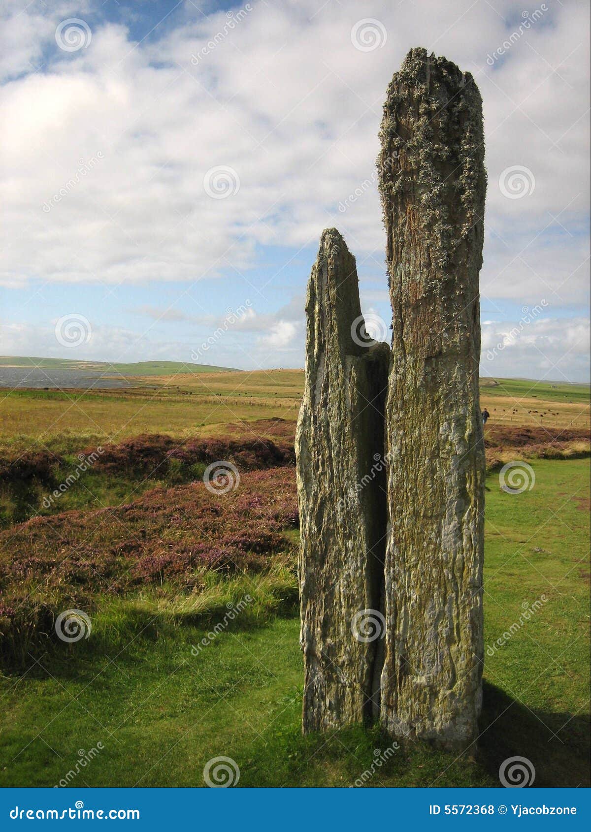 Standing stone stock photo. Image of cult, celtic, stones - 5572368