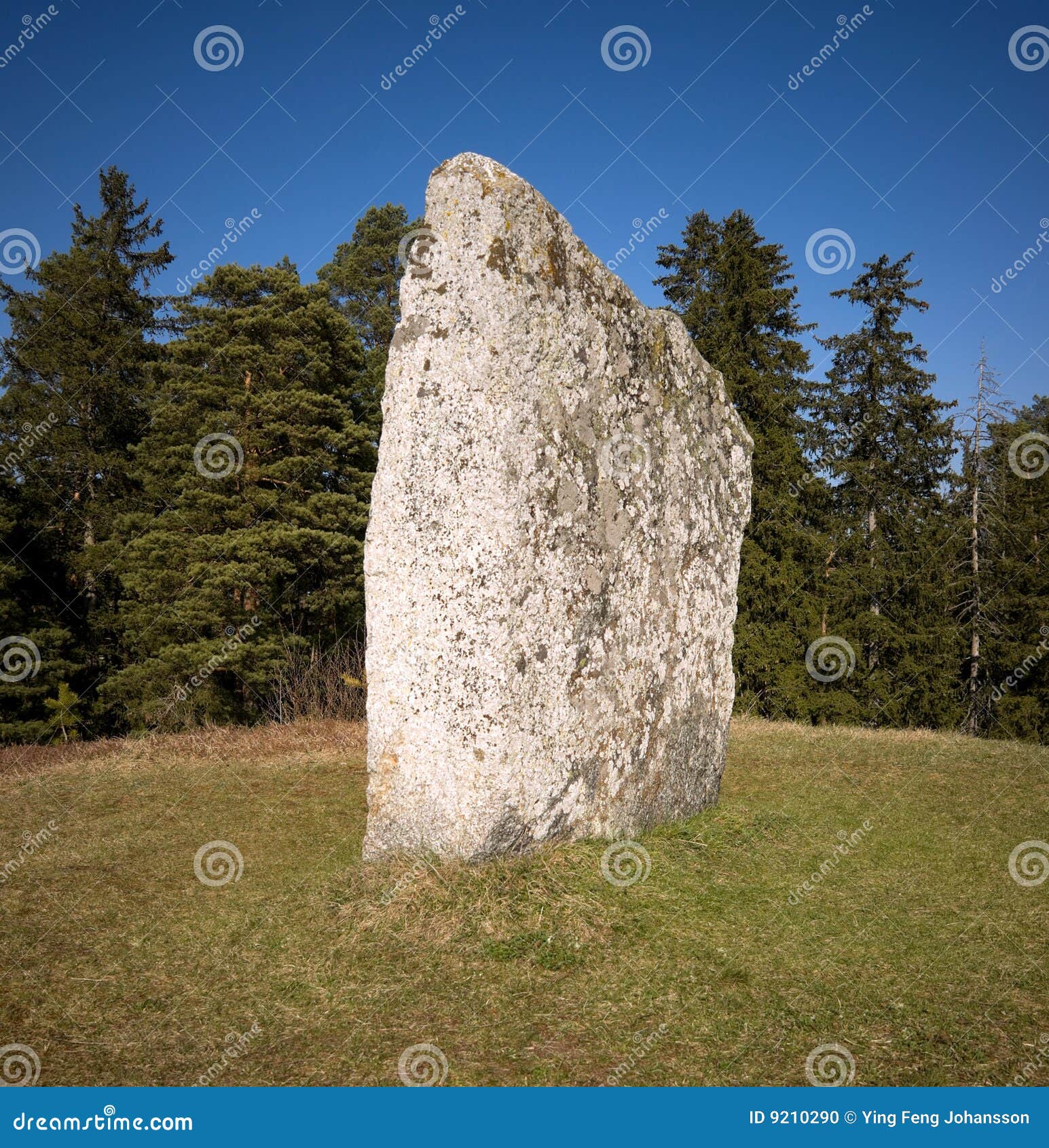 Standing stone stock photo. Image of sightseeing, historical - 9210290
