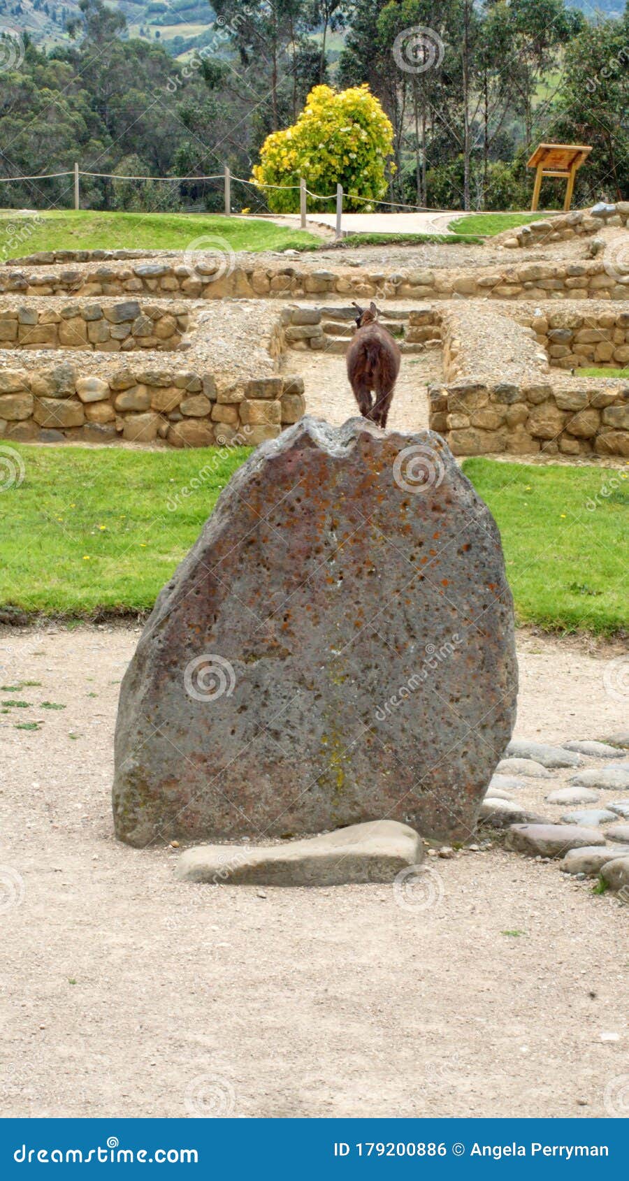Standing Stone at Ingapirca Stock Photo - Image of grass, stone: 179200886