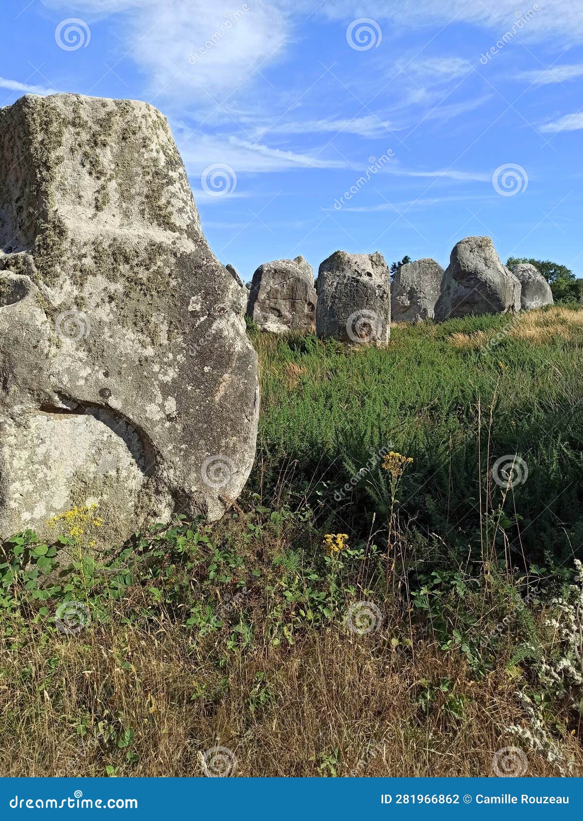 Standing Stones, the Huge Megalithic Site in Carnac, Morbihan Stock ...