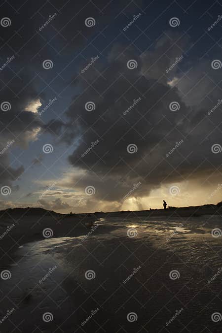 Standing in the Storm stock image. Image of wind, sunrise - 1373073