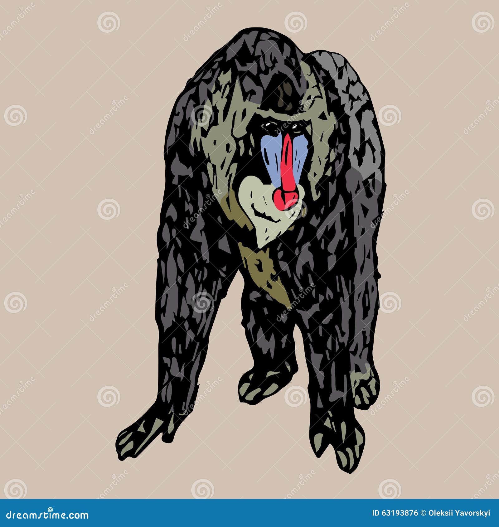 Standing Strong Young Baboon Mandrill Stock Vector - Illustration of ...