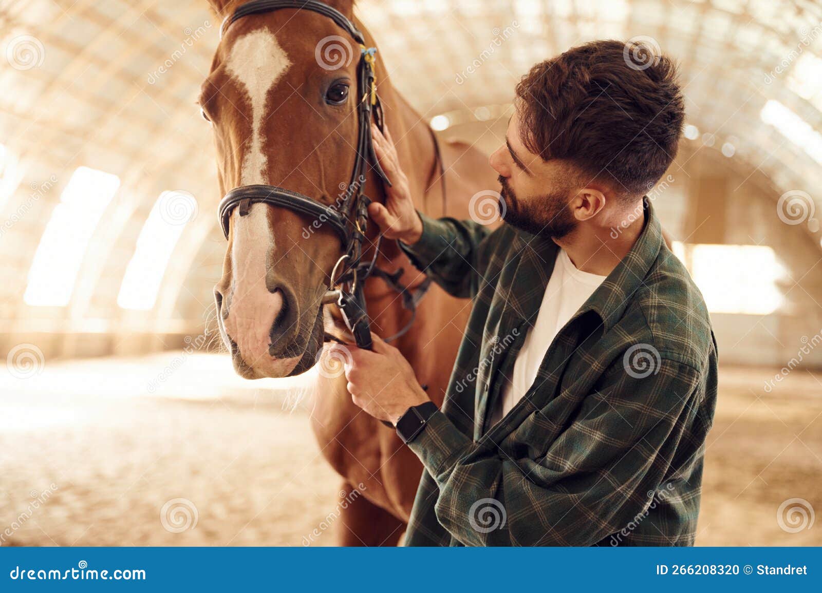 Standing Together. Young Man with a Horse is in the Hangar Stock Photo ...