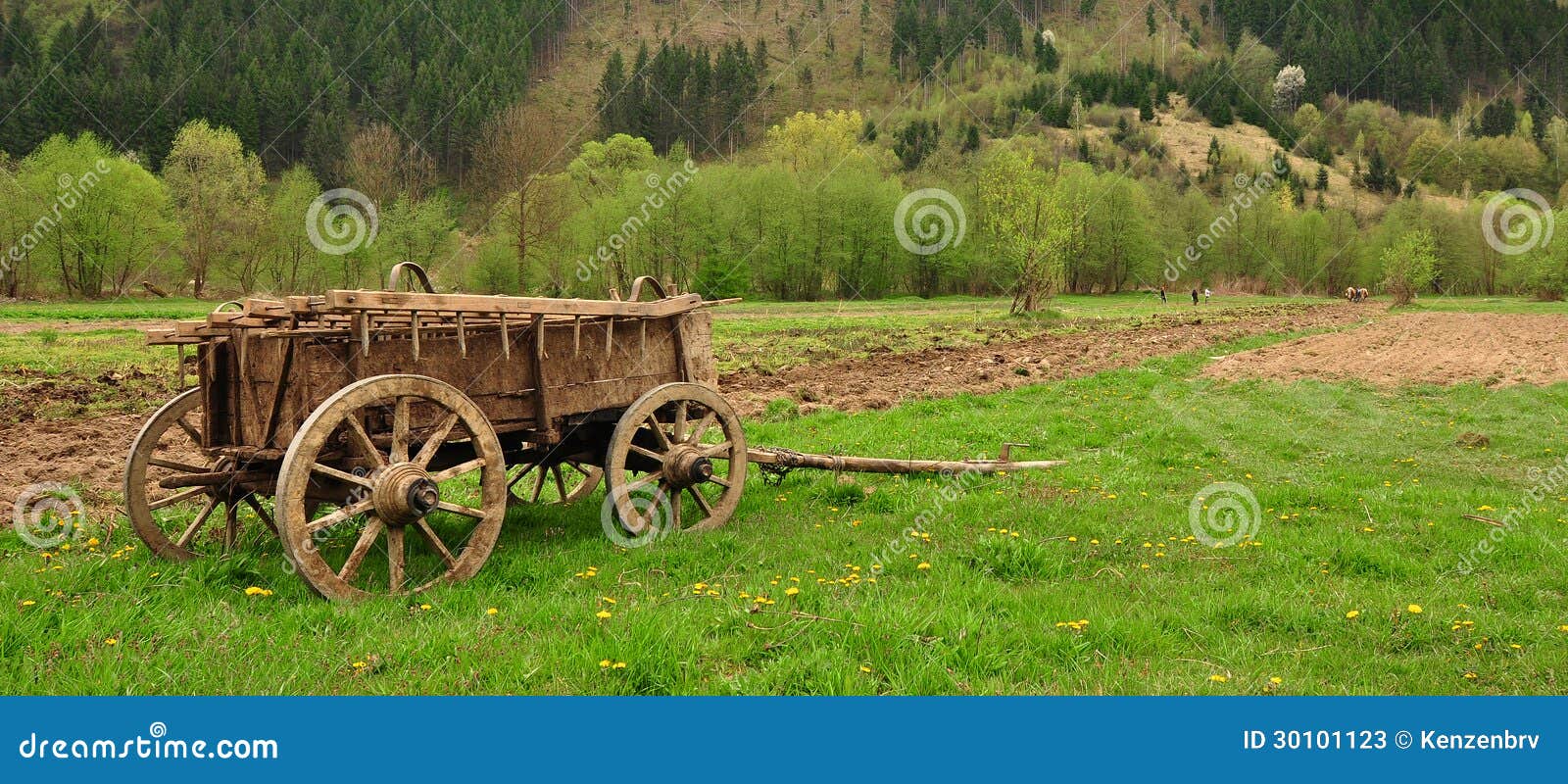 Traditional carriage stock image. Image of yellow, wooden - 30101123