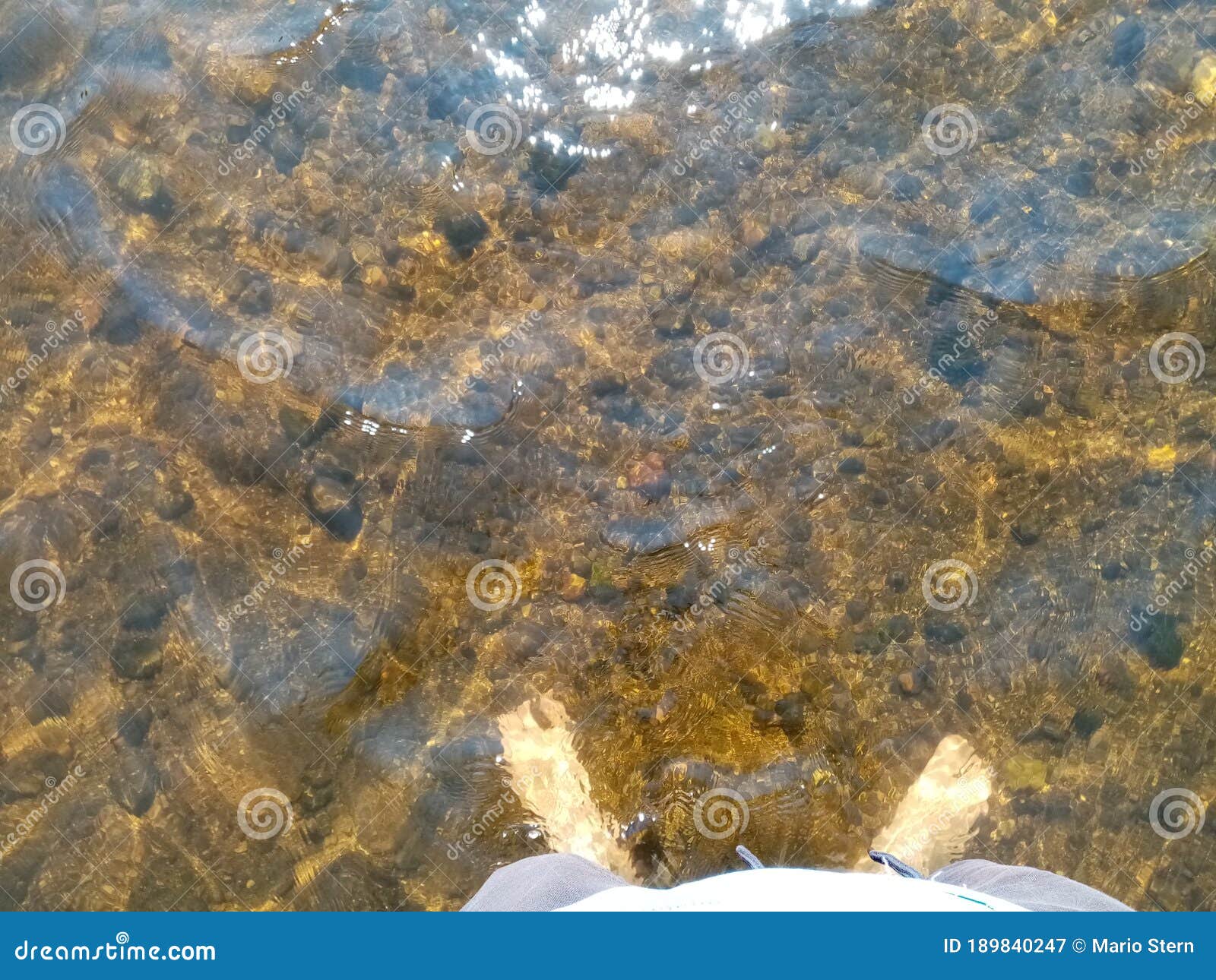 Standing in water stock image. Image of water, nature - 189840247