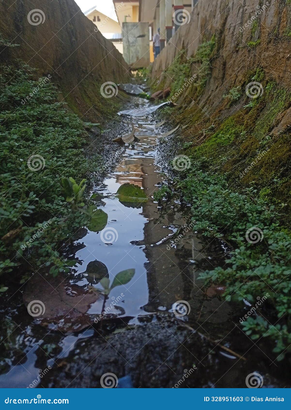 Standing Water in the Gutter Stock Image - Image of green, gutter ...