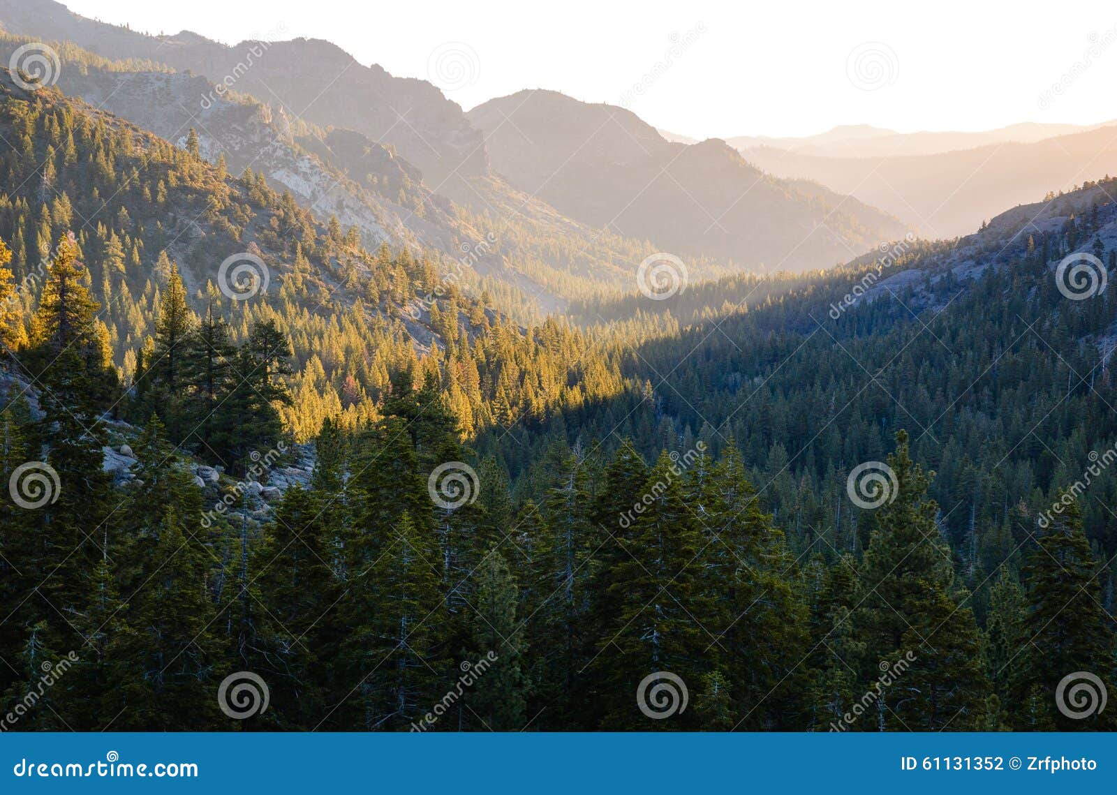 Stanislaus National Forest stock photo. Image of stanislaus - 61131352