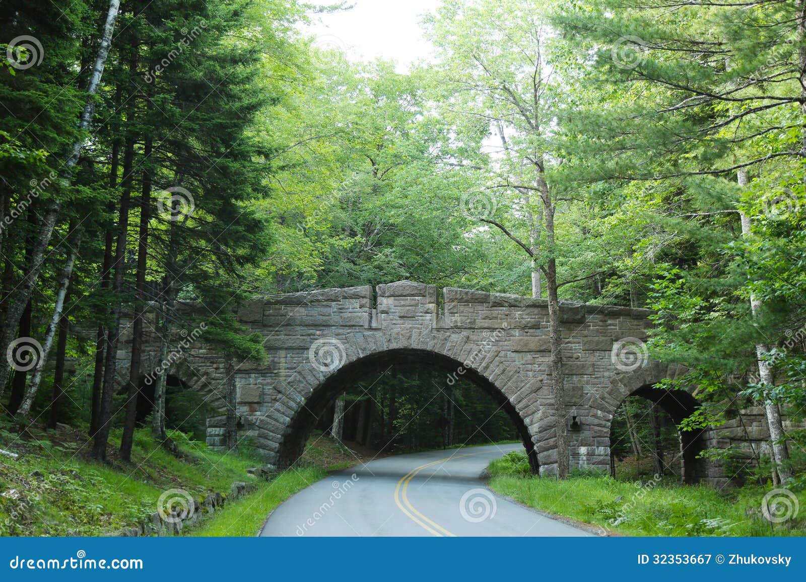Stanley Brook Bridge En Parque Nacional Del Acadia Imagen de archivo ...