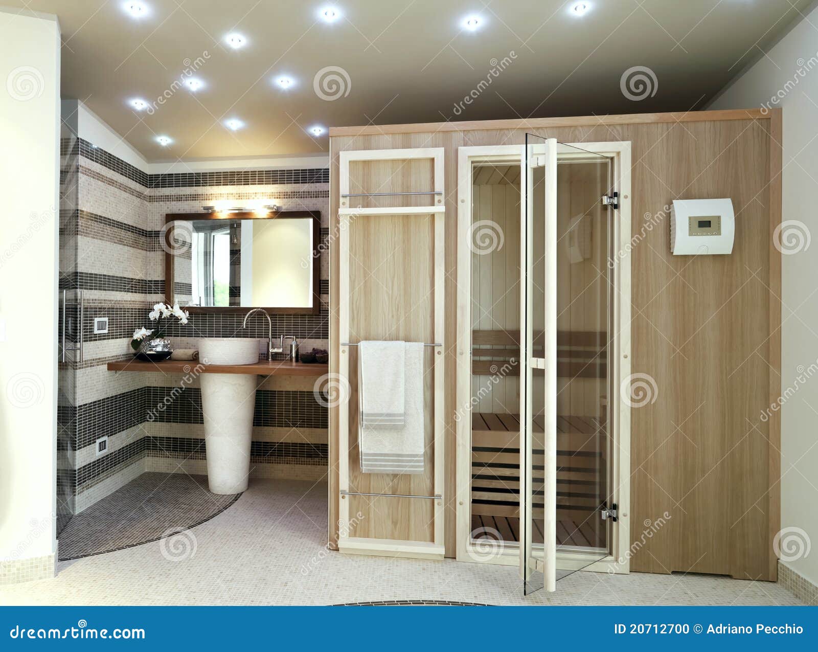 Stanza Da Bagno Moderna Con Sauna Fotografia Stock - Immagine di vetro ...