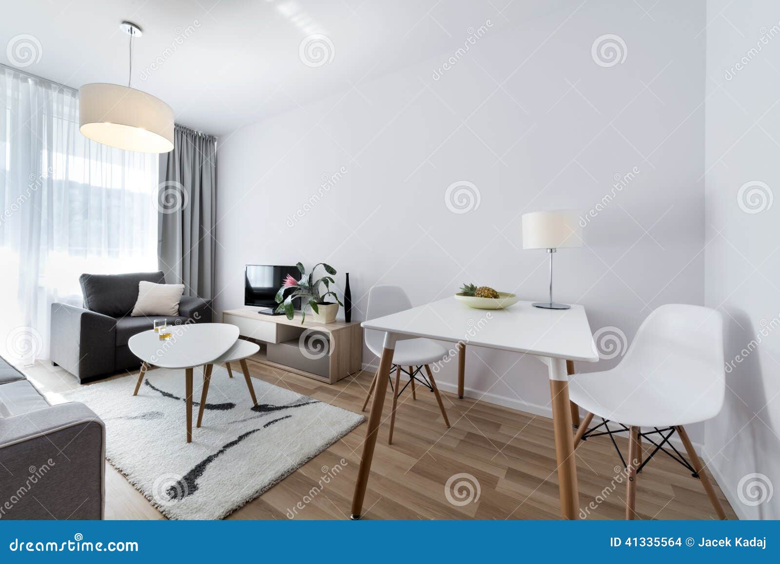 Stanza Moderna Di Interior Design Nello Stile Scandinavo Fotografia ...