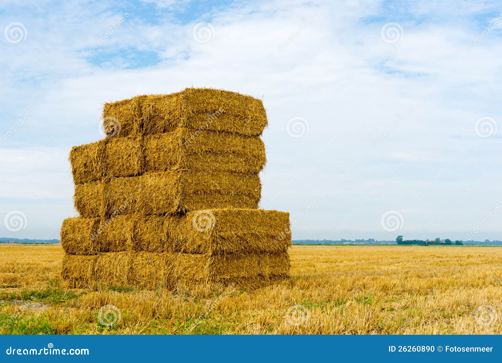 Stapel Heuballen stockfoto. Bild von ballen, platz, sommer - 26260890