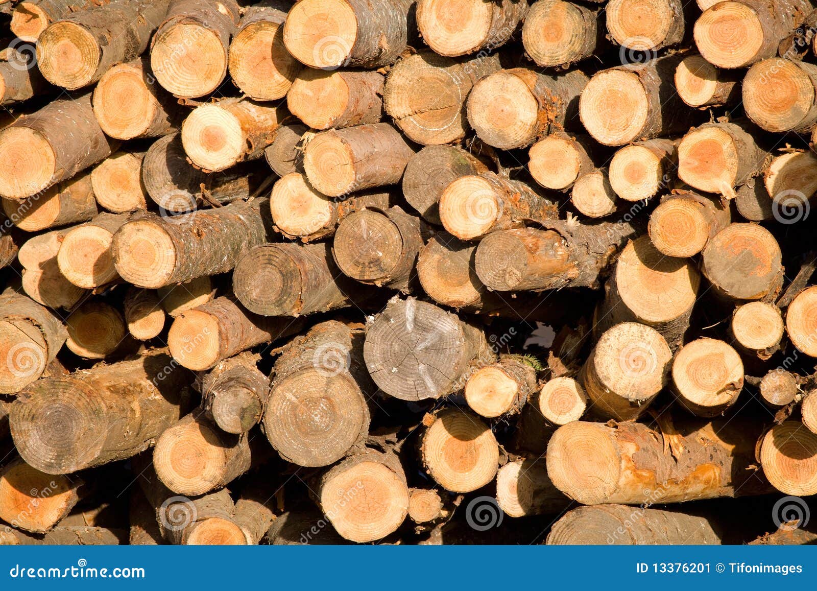 Stapel van boomstammen stock afbeelding. Image of achtergrond - 13376201