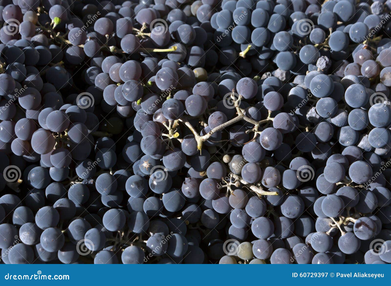 Stapel van rode wijndruif stock afbeelding. Image of land - 60729397