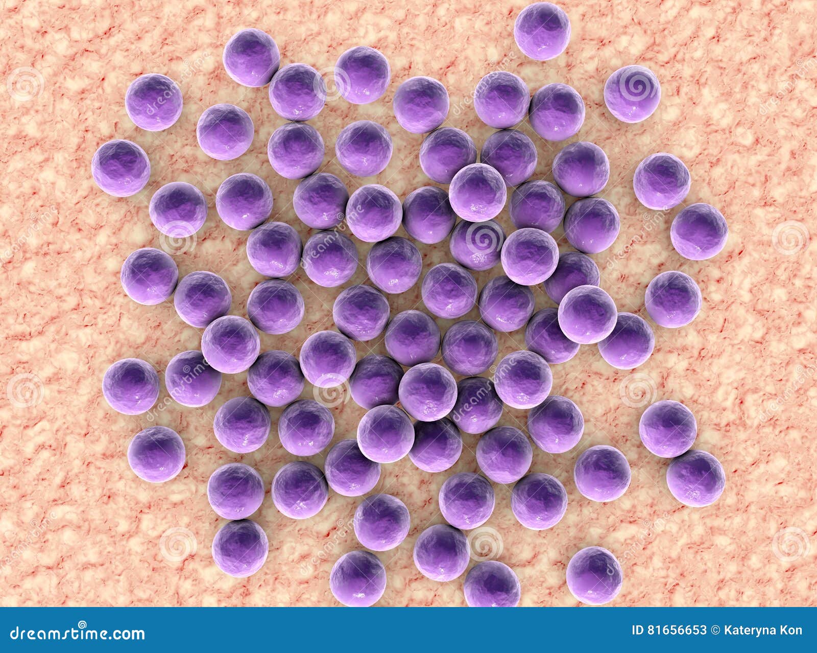 Spherical bacteria - mommylery