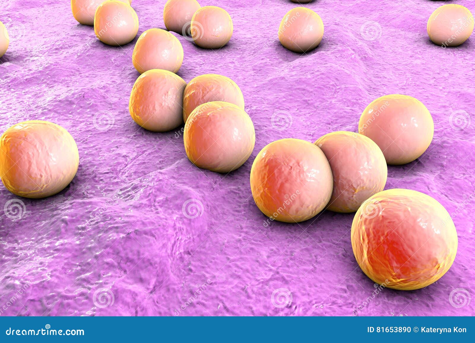Staphylococci on the Surface of Skin Stock Illustration - Illustration ...