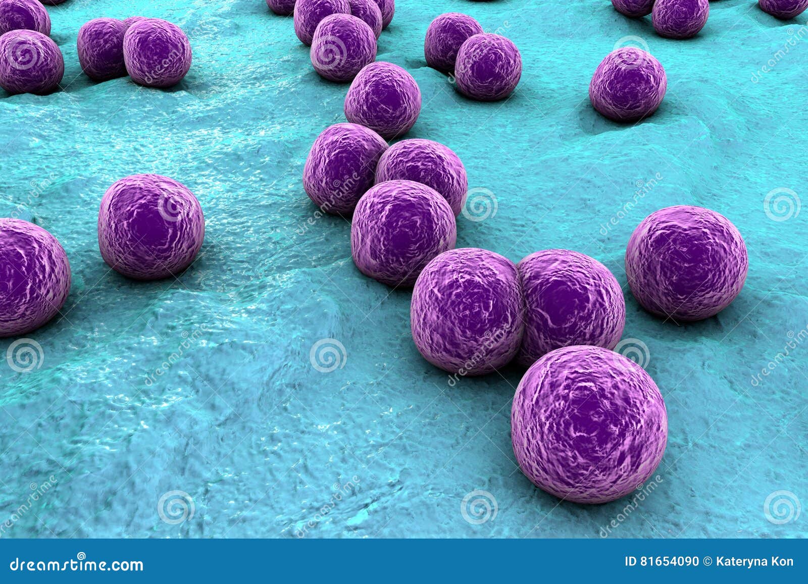 Staphylococci on the Surface of Skin Stock Illustration - Illustration ...