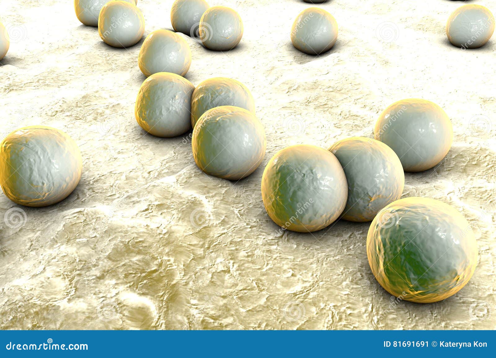 Staphylococci on the Surface of Skin Stock Illustration - Illustration ...