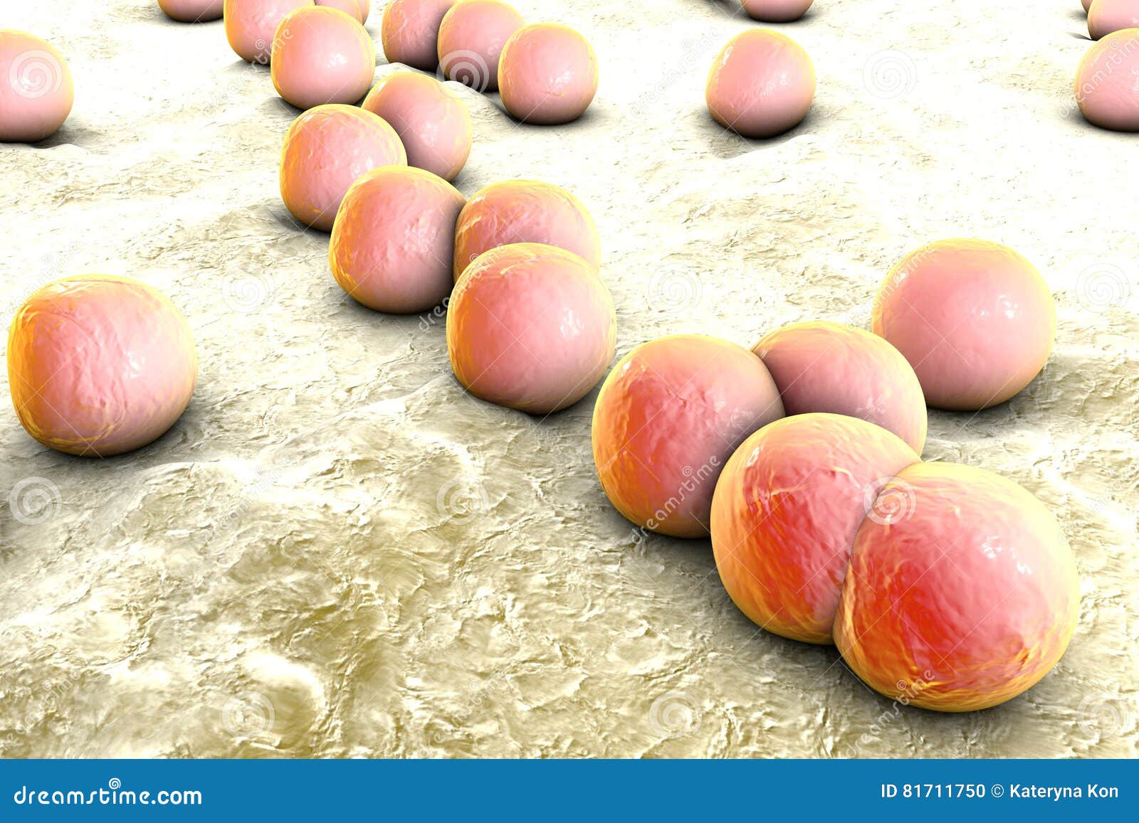 Staphylococci on the Surface of Skin Stock Illustration - Illustration ...