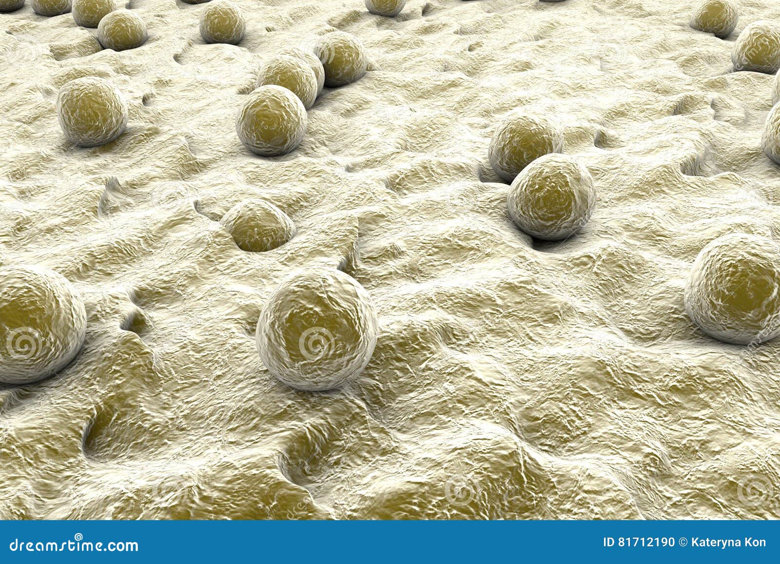 Staphylococci on the Surface of Skin Stock Illustration - Illustration ...