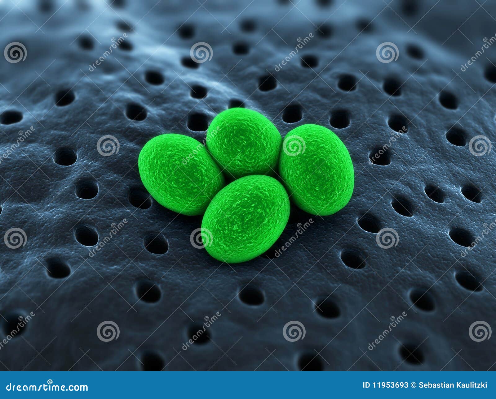 Staphylococcus Vector Illustration | CartoonDealer.com #9802924