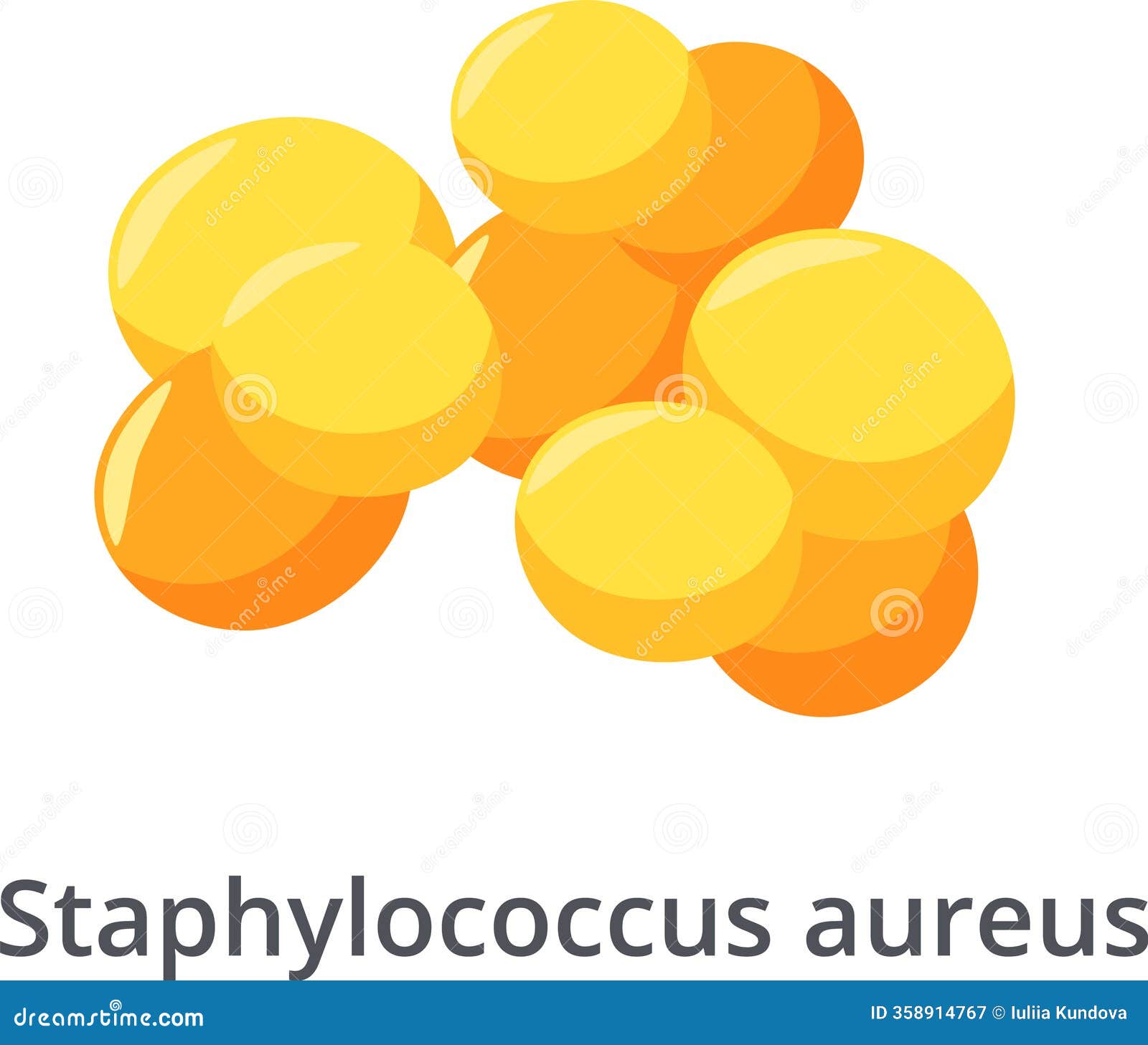 Staphylococcus Aureus Cell Structure And Pathogenic Factors Cartoon ... Staphylococcus Aureus Cell Structure And Pathogenic Factors Cartoon ...