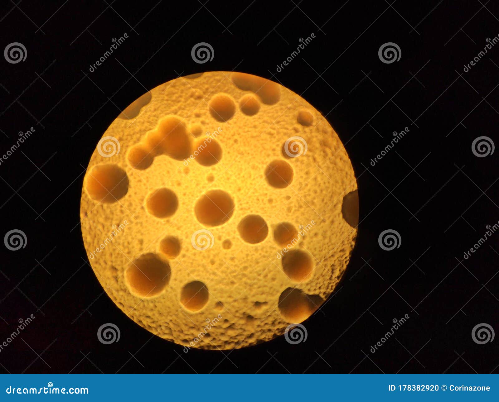 Staphylococcus Aureus Bacteria Growing in Round Shaped Colonies Stock ...