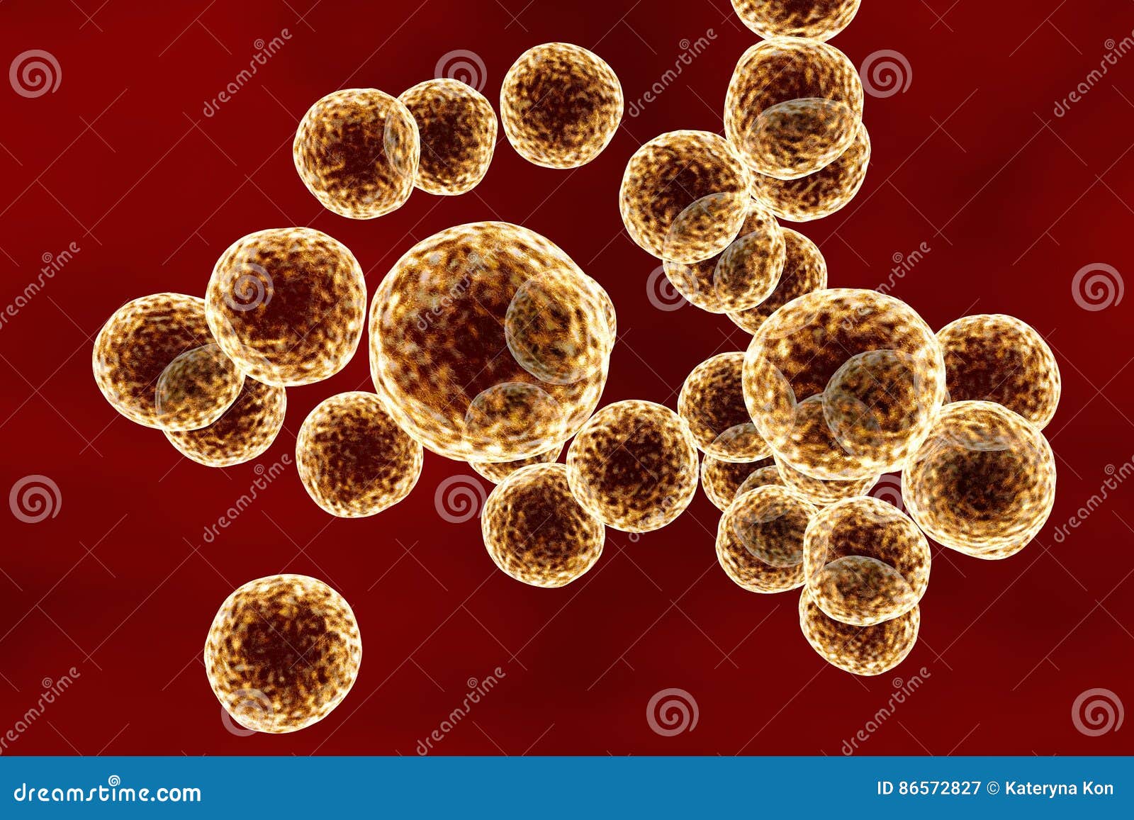 Staphylococci. Staphylococcus Aureus Causes Diseases. Infographics ...