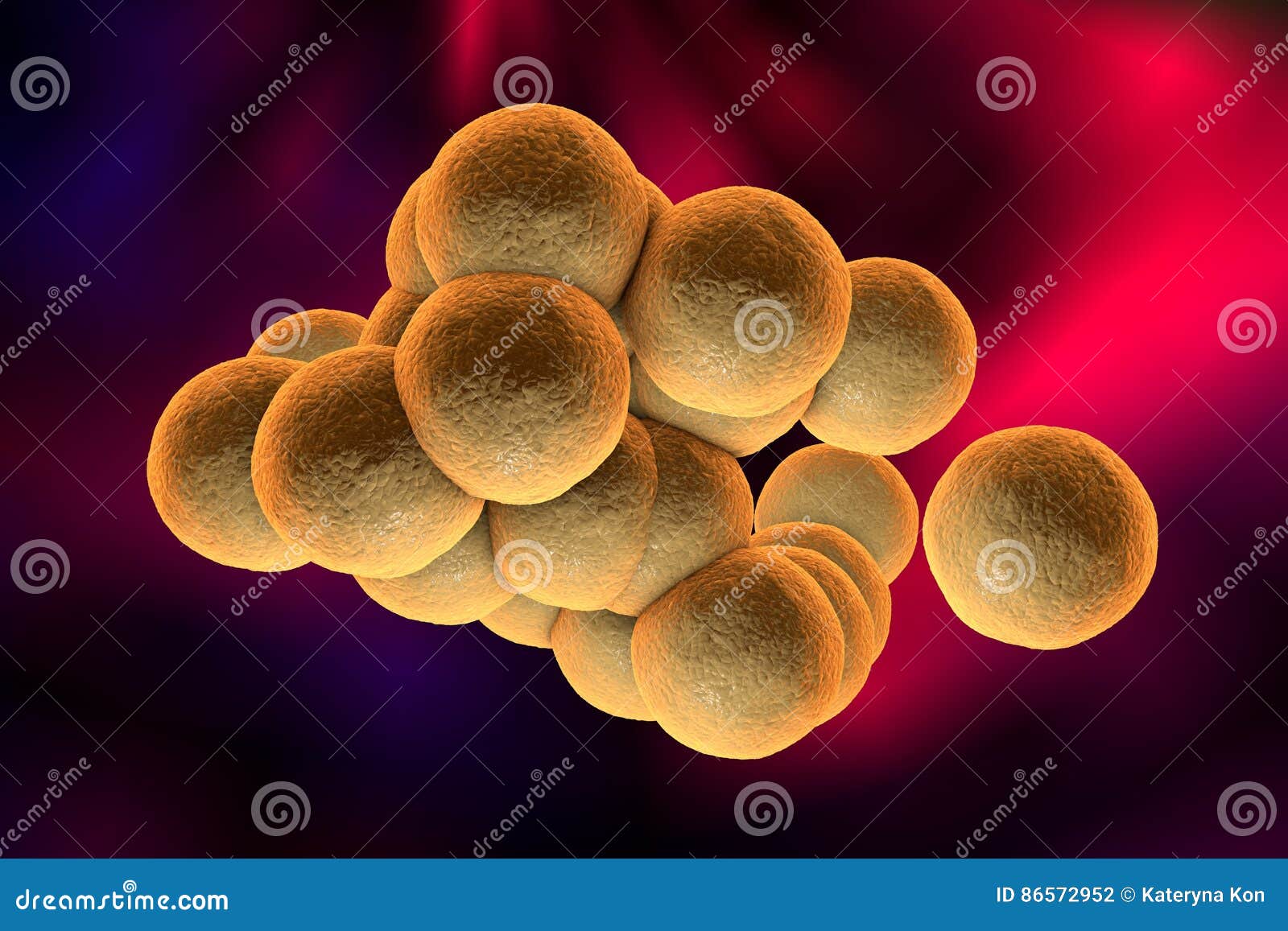 Staphylococcus Aureus Bacteria Royalty-Free Cartoon | CartoonDealer.com ...