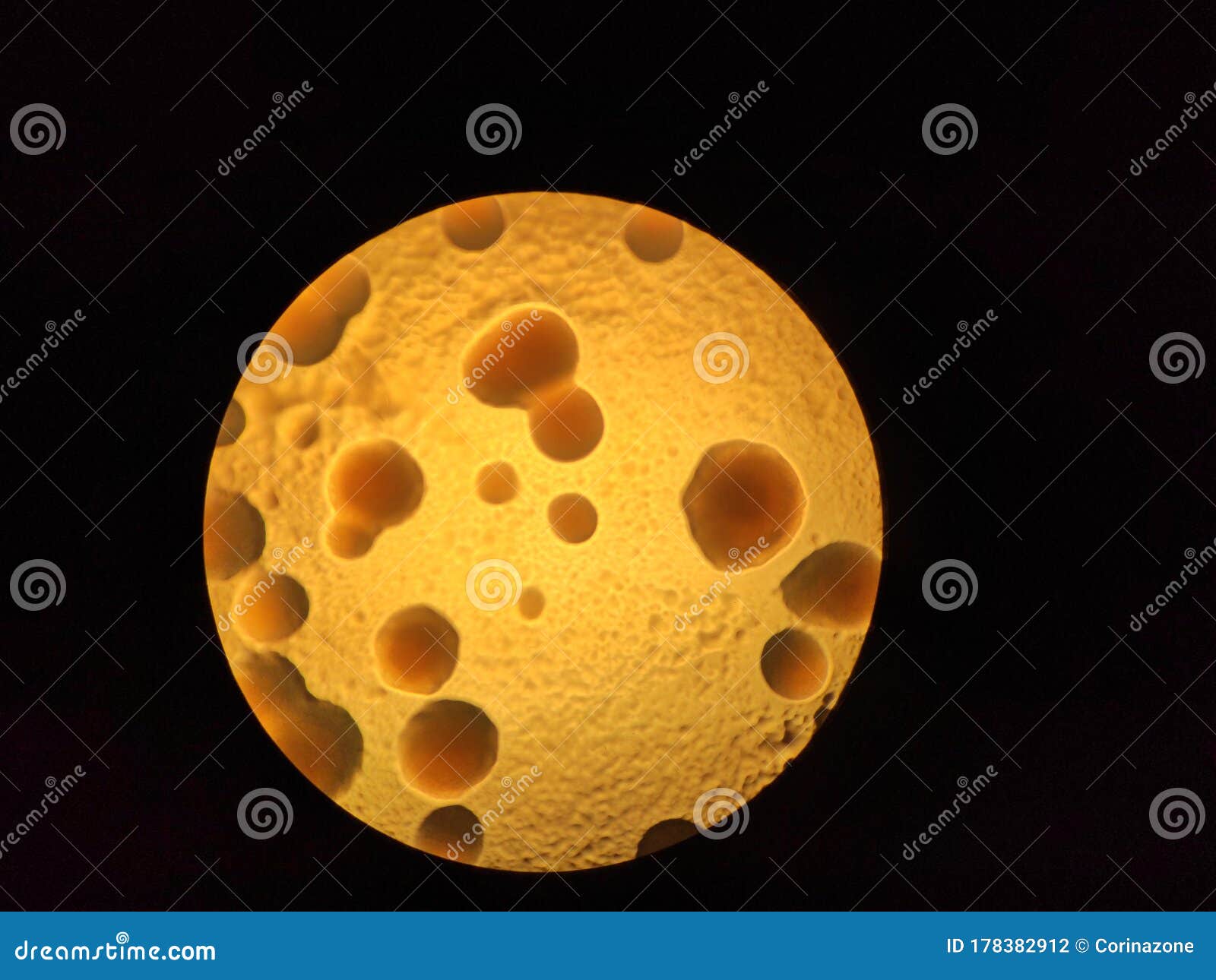 Staphylococcus Aureus Bacteria Growing in Round Shaped Colonies Stock ...