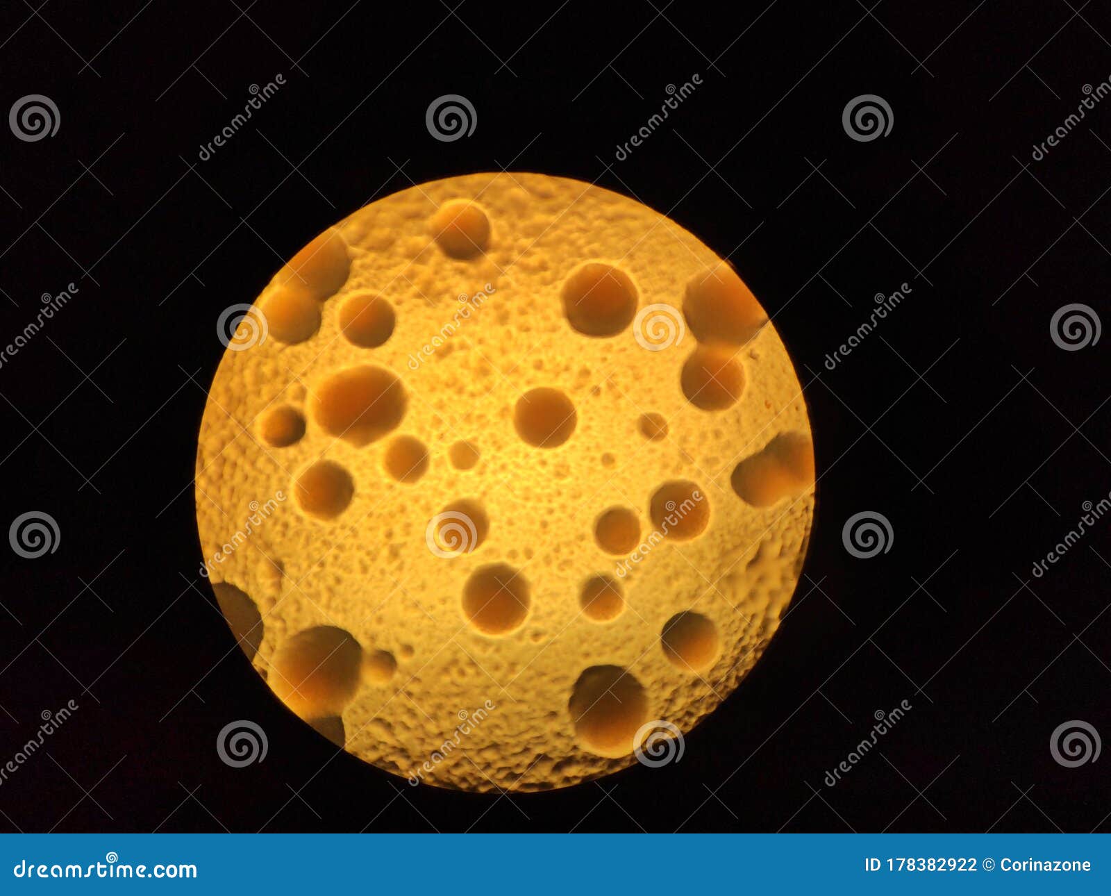 Staphylococcus Aureus Bacteria Shape