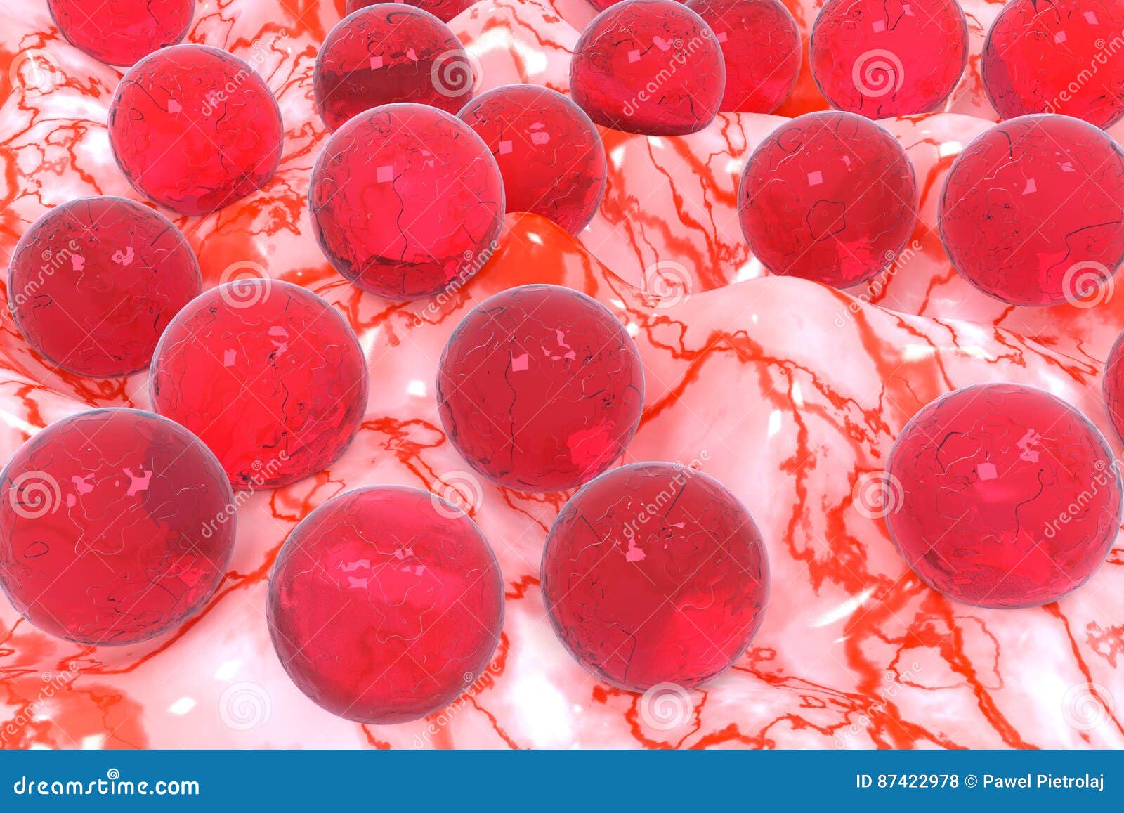 Staphylococcus Aureus 3D Illustration Stock Illustration - Illustration ...