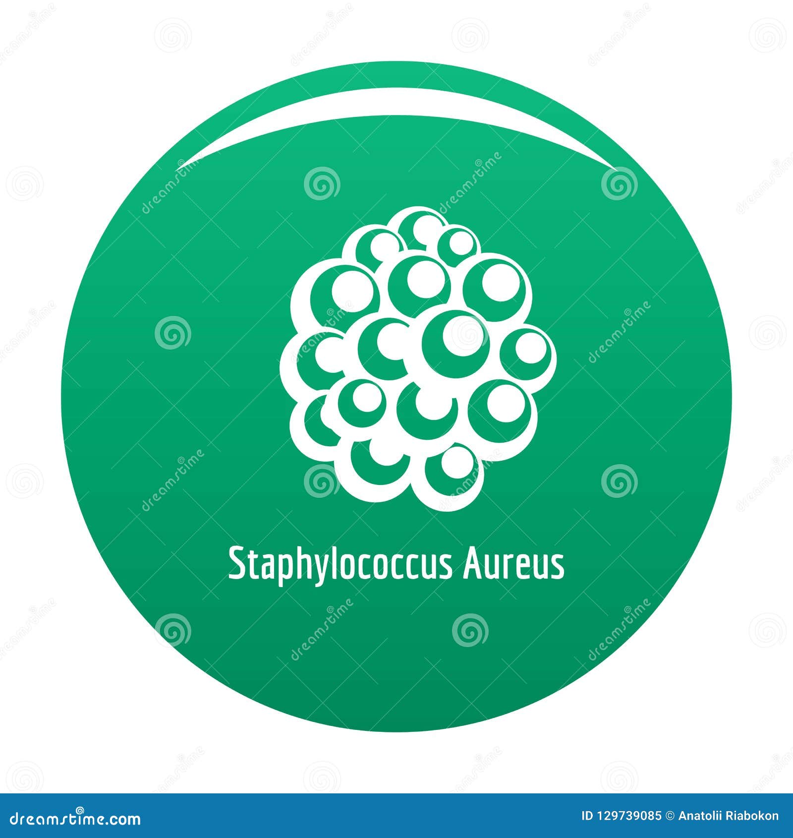 Staphylococcus Aureus Icon Vector Green Stock Vector - Illustration of ...