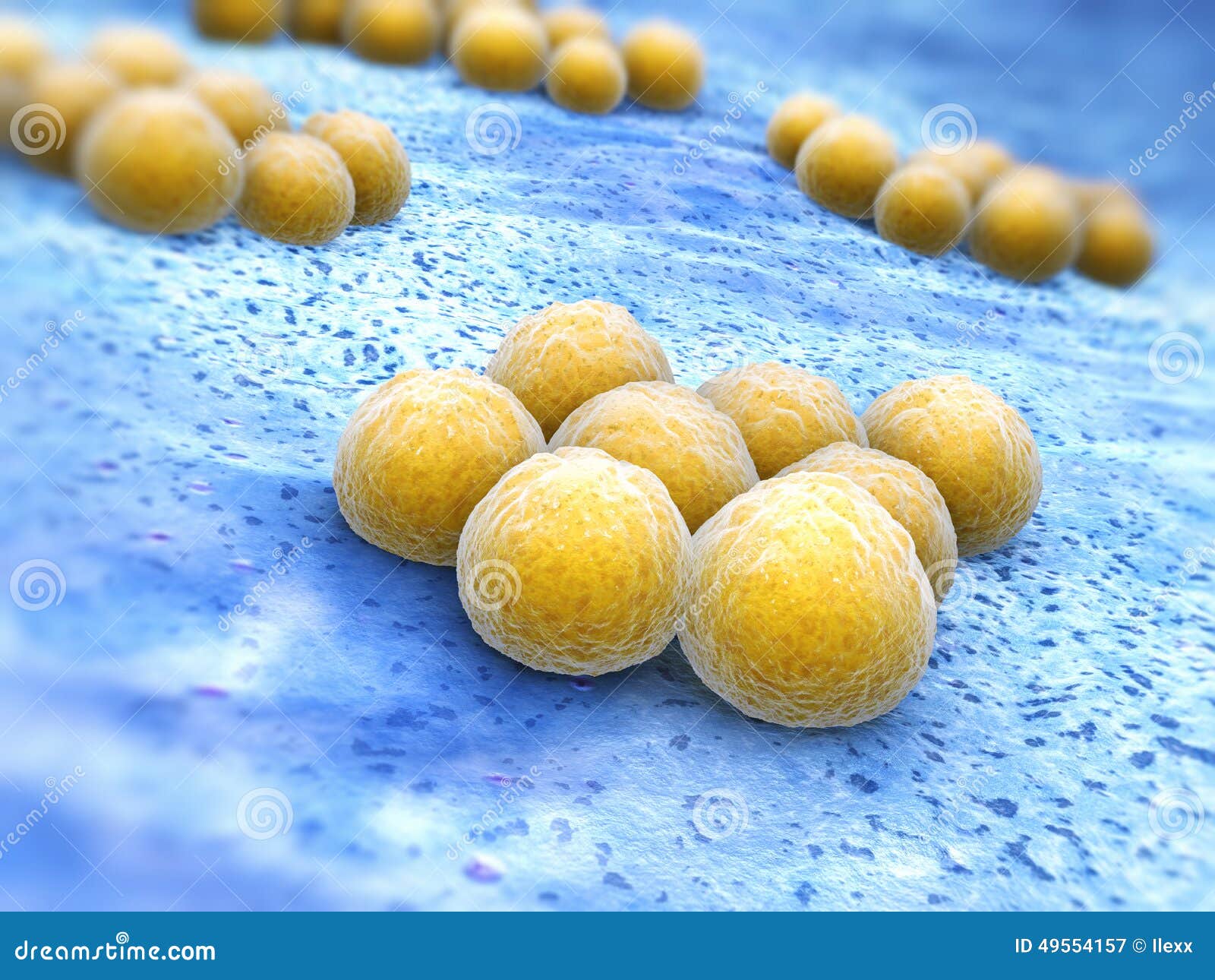 Staphylococcus Aureus Cell Structure And Pathogenic Factors Cartoon ... Staphylococcus Aureus Cell Structure And Pathogenic Factors Cartoon ...