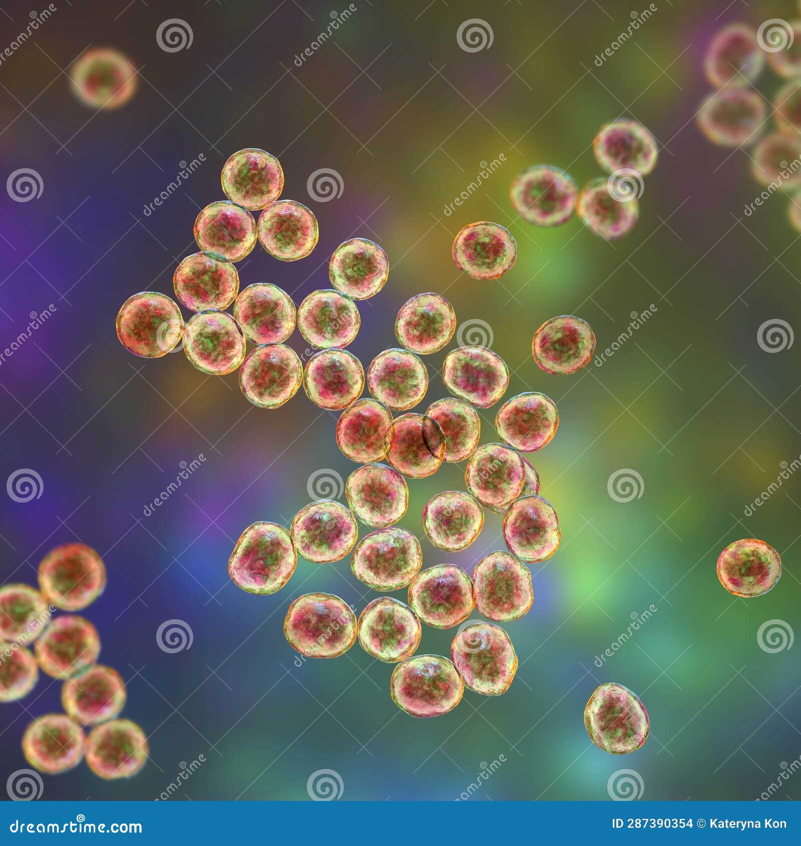 Staphylococcus Bacteria, 3D Illustration. Stock Illustration ...