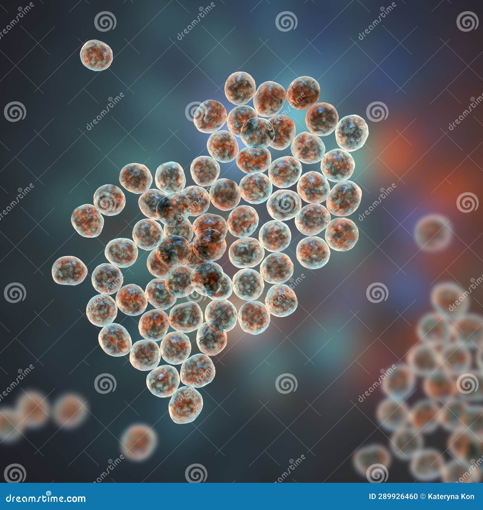 Staphylococcus Bacteria, 3D Illustration. Stock Illustration ...