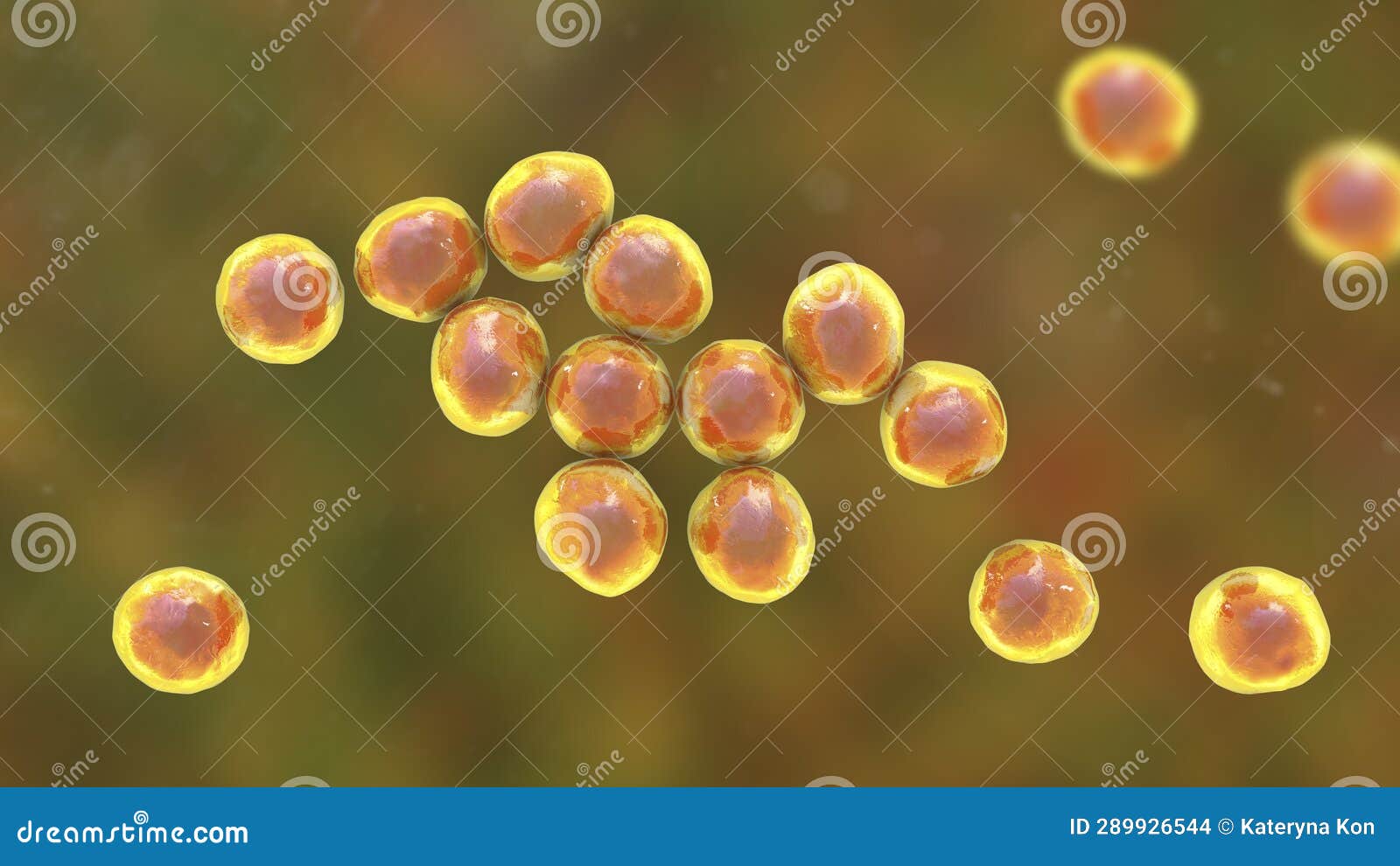 Staphylococcus Bacteria, 3D Illustration. Stock Illustration ...