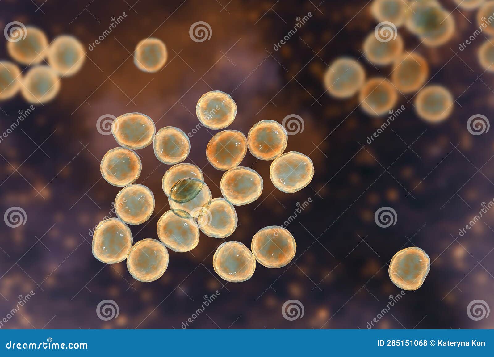 Staphylococcus Bacteria, 3D Illustration. Stock Illustration ...