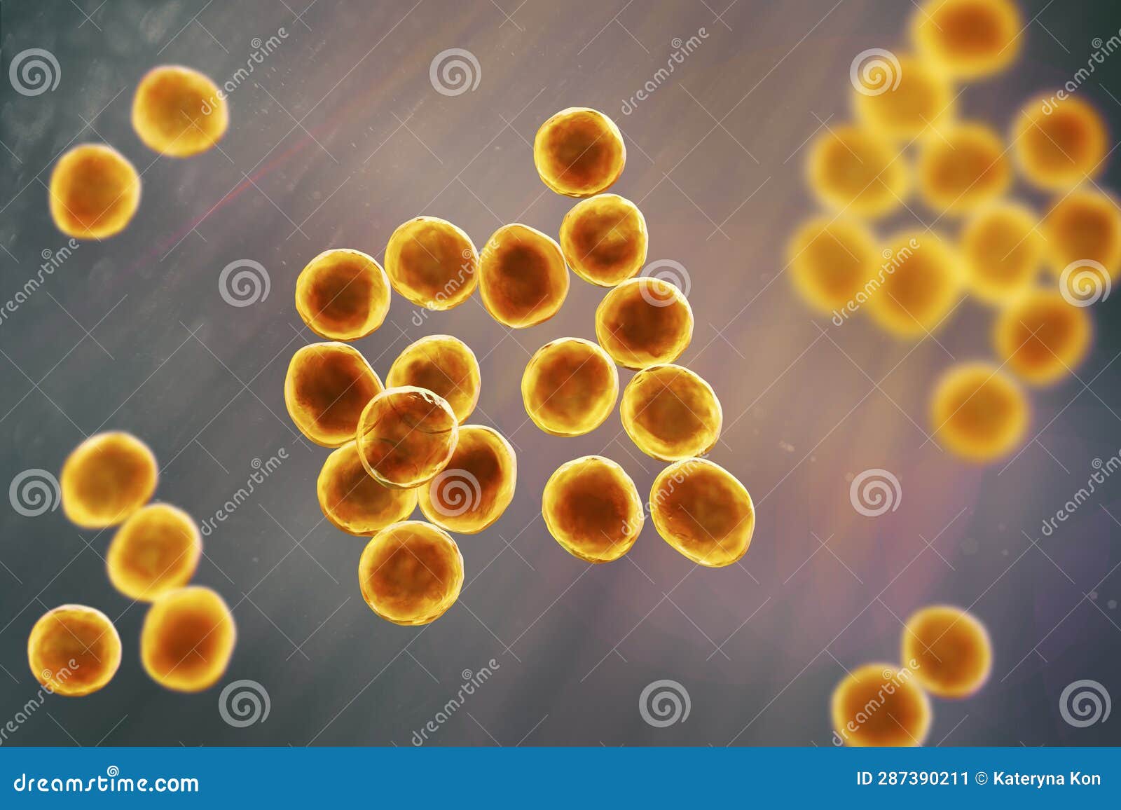 Staphylococcus Bacteria, 3D Illustration. Stock Illustration ...
