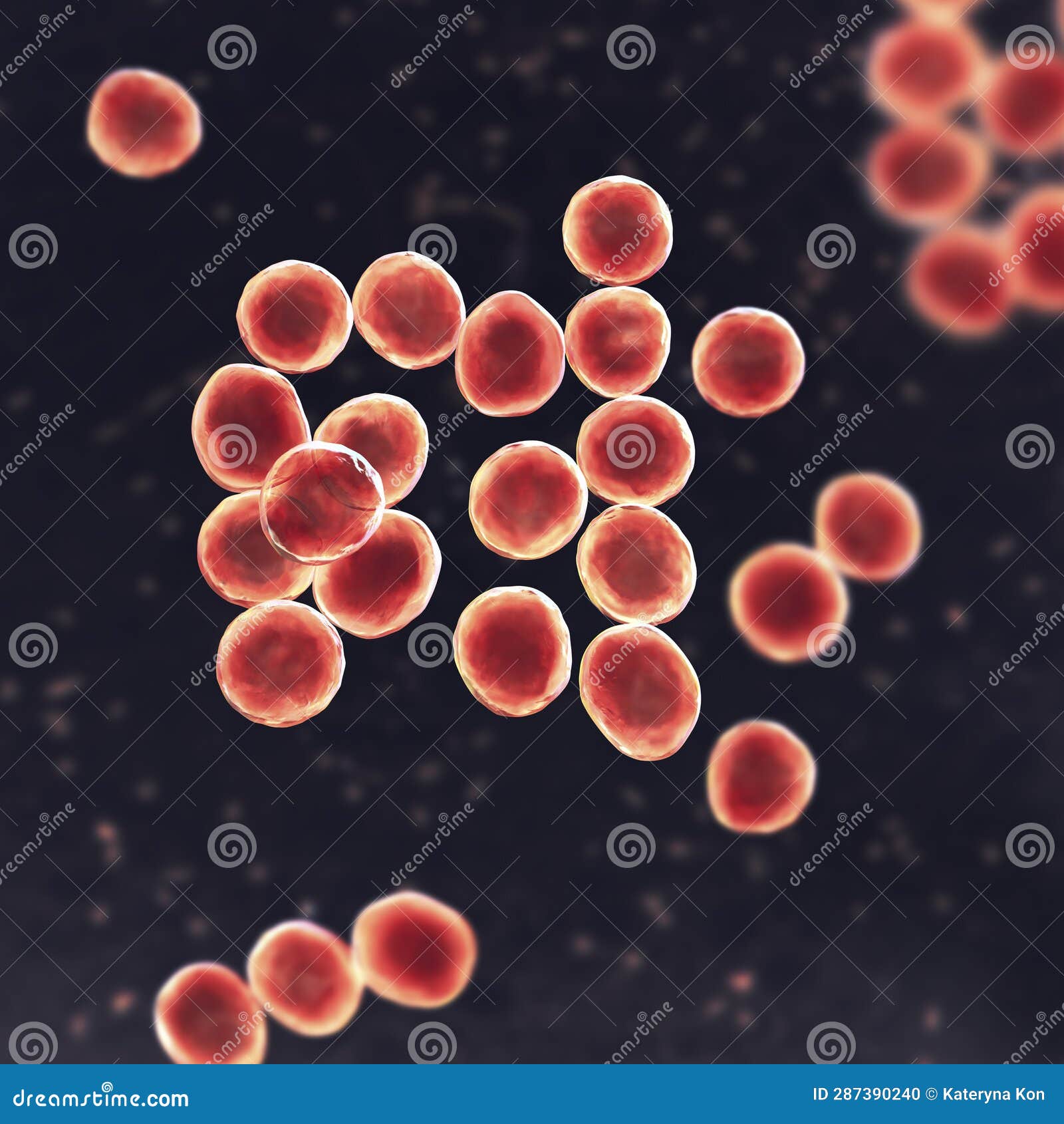 Staphylococcus Bacteria, 3D Illustration. Stock Illustration ...