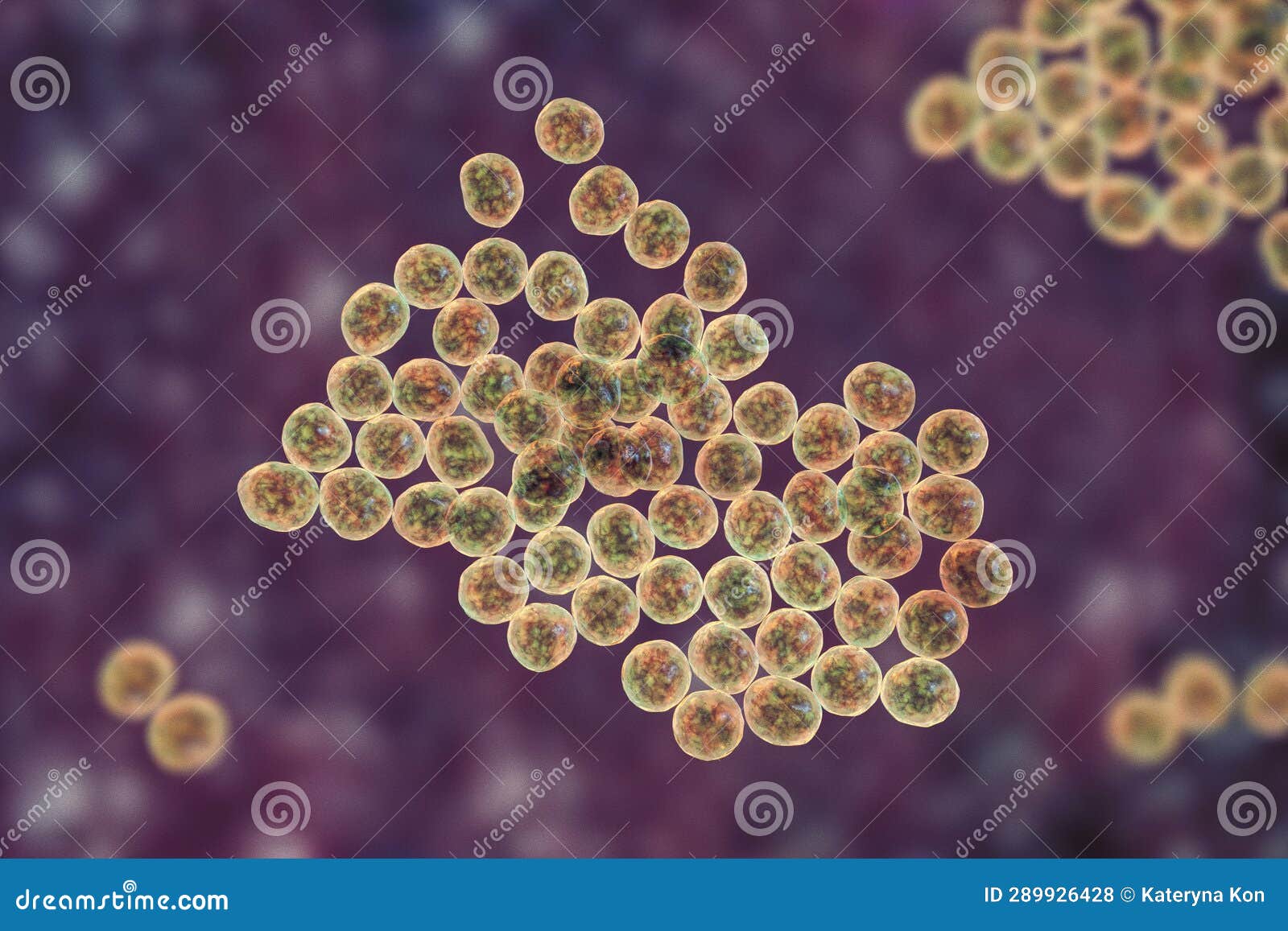 Staphylococcus Bacteria, 3D Illustration. Stock Illustration ...