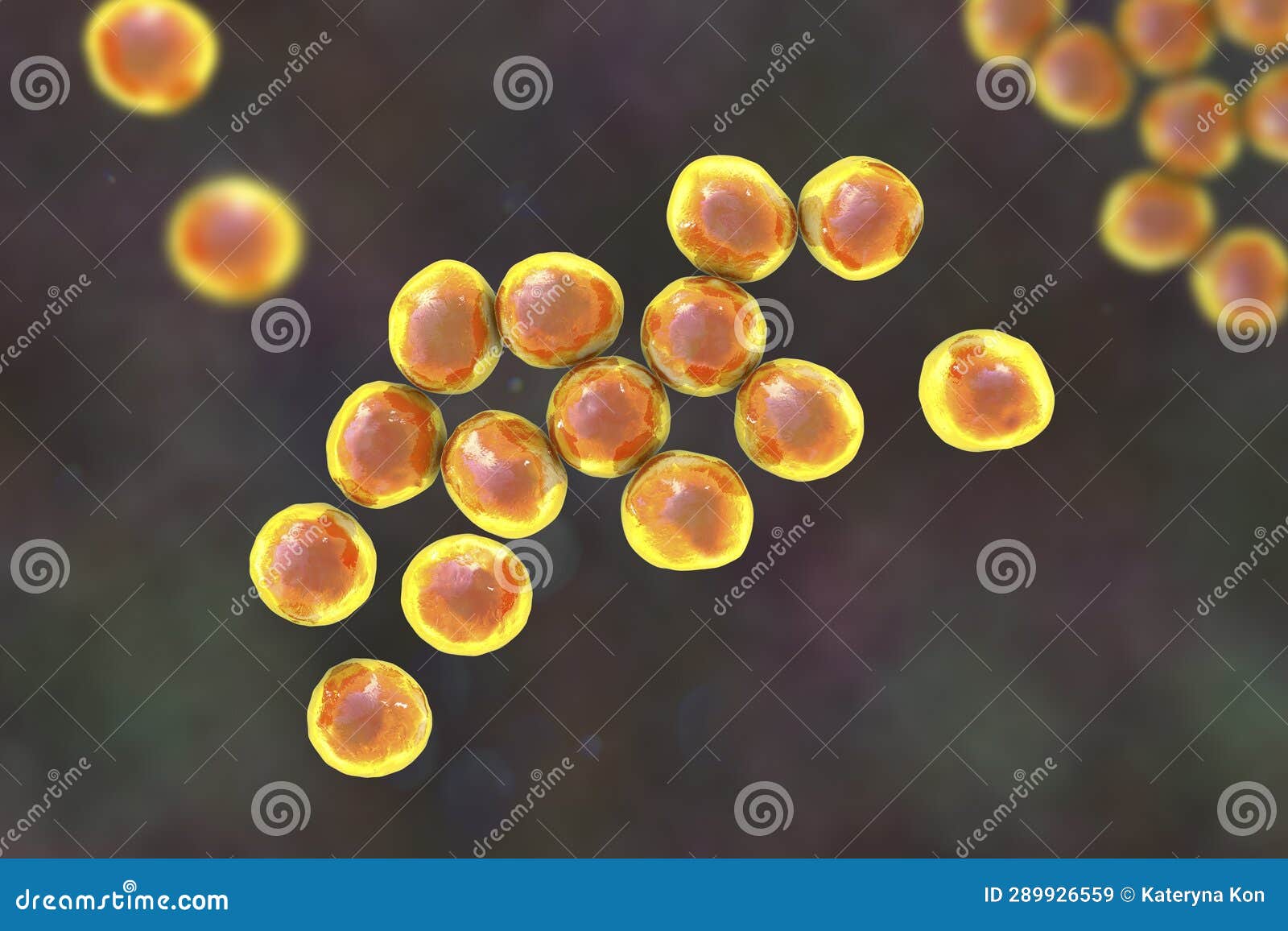 Staphylococcus Bacteria, 3D Illustration. Stock Illustration ...