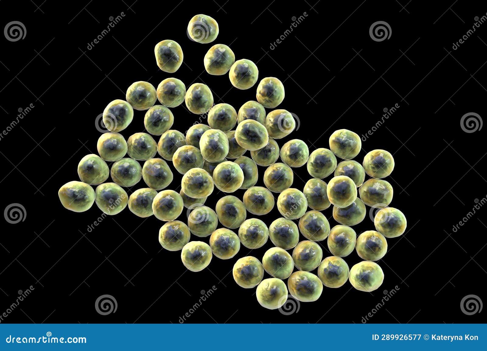 Staphylococcus Bacteria, 3D Illustration. Stock Illustration ...