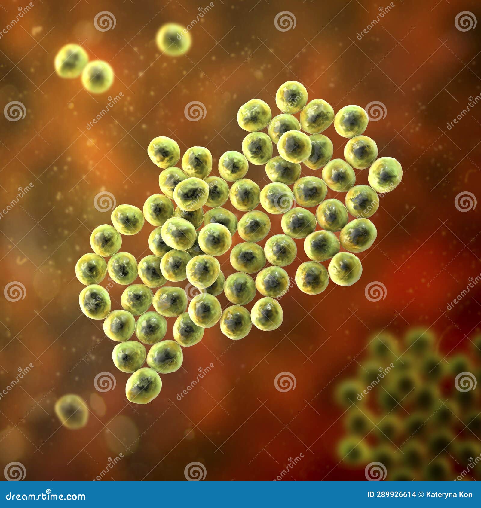 Staphylococcus Bacteria, 3D Illustration. Stock Illustration ...