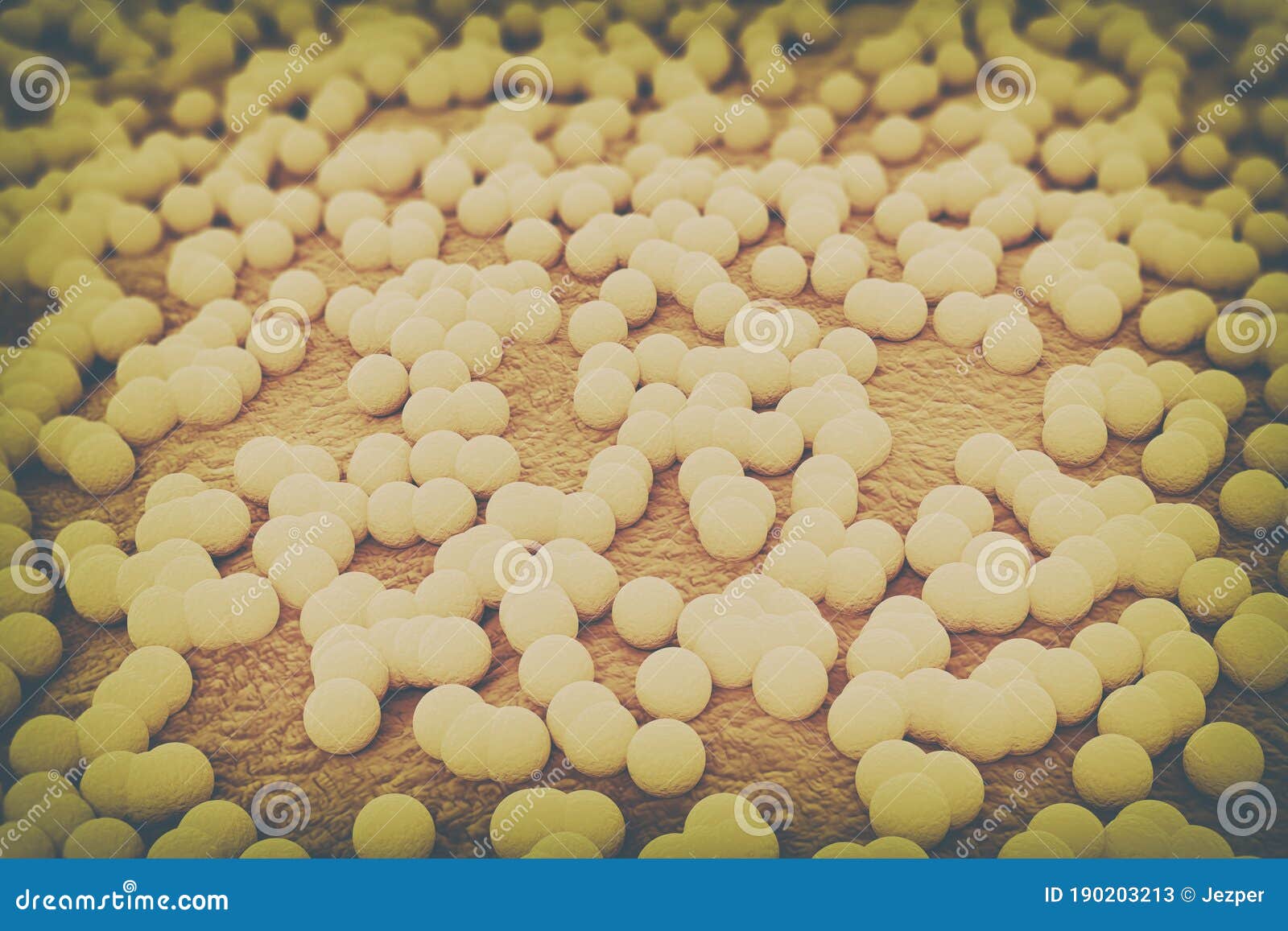 Staphylococcus Bacteria Infection Stock Illustration - Illustration of ...