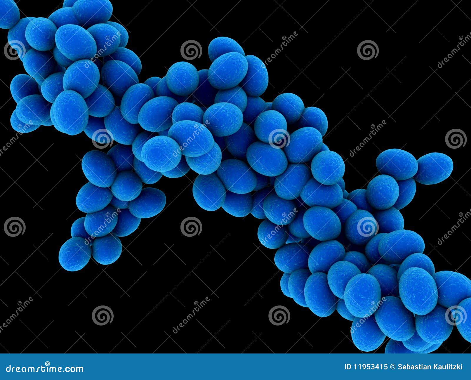 Staphylocoque illustration stock. Illustration du bactéries - 11953415