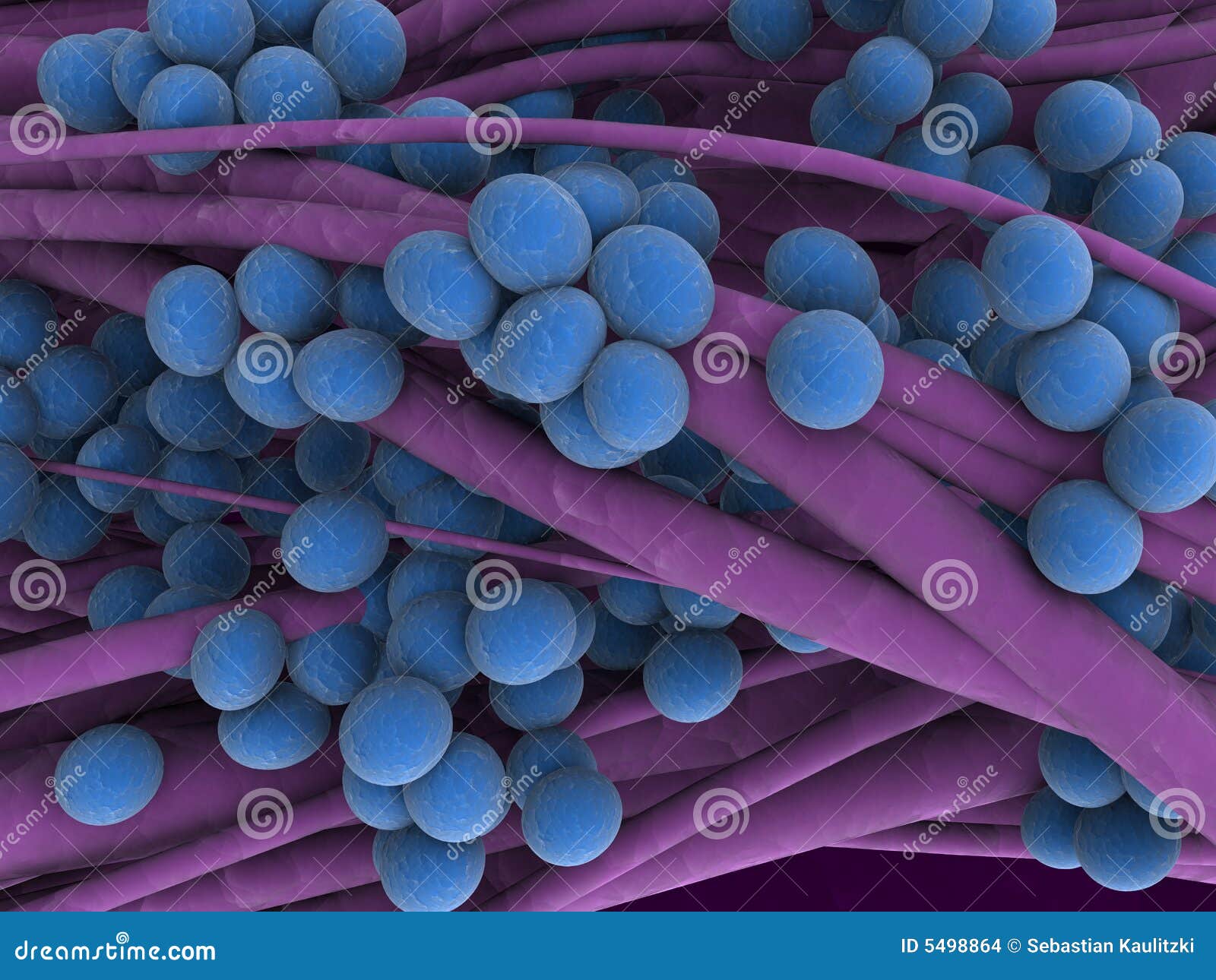 Staphylocoque illustration stock. Illustration du mauvais - 5498864